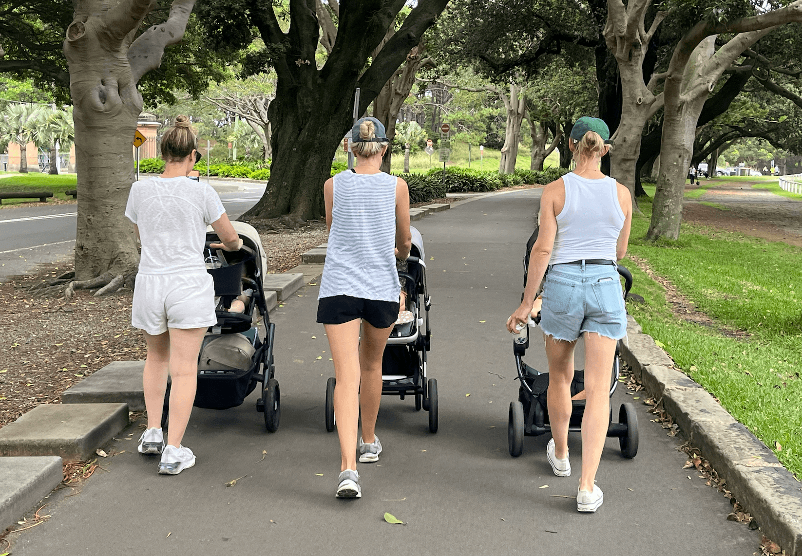 Pram Steps Walk - February 12th 2025