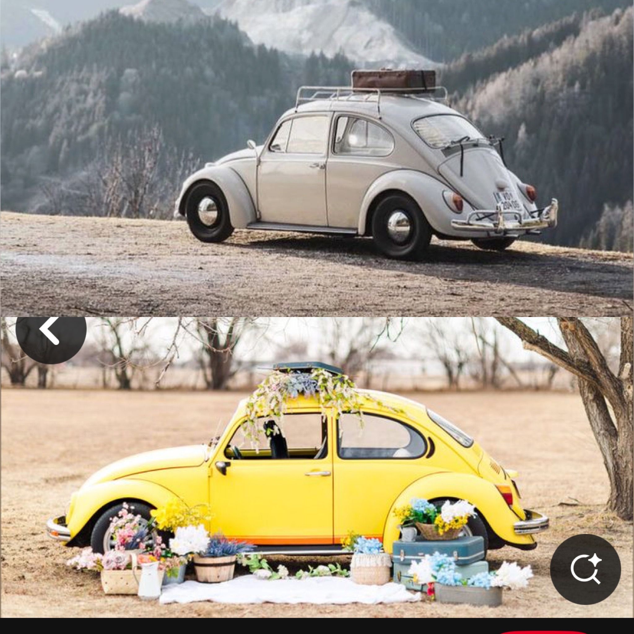 Volkswagen Bug Spring Mini Sessions
