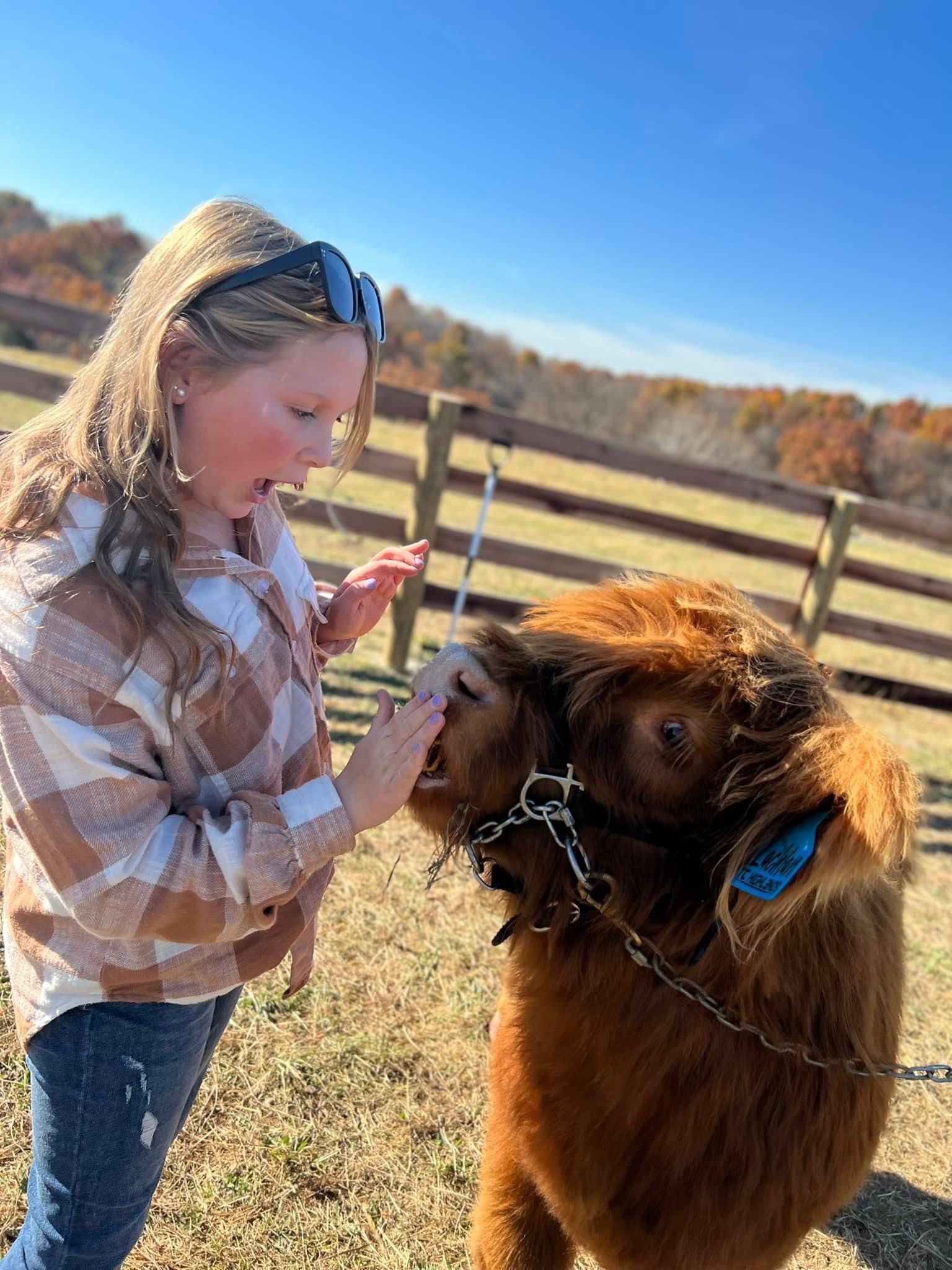 November Private Sessions