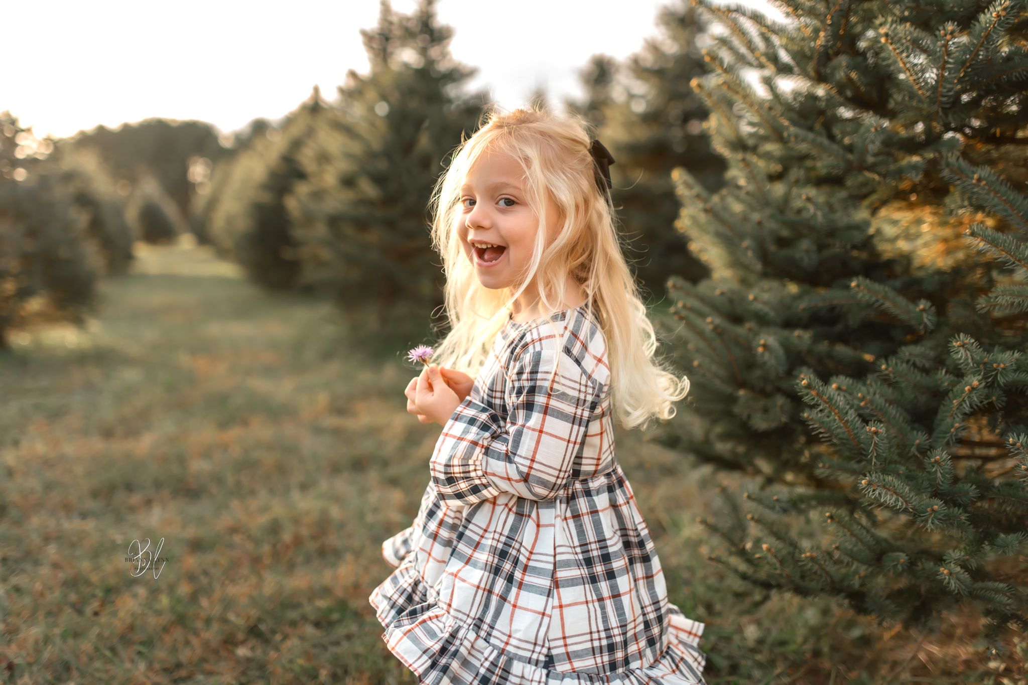Classic Tree Farm Mini Session