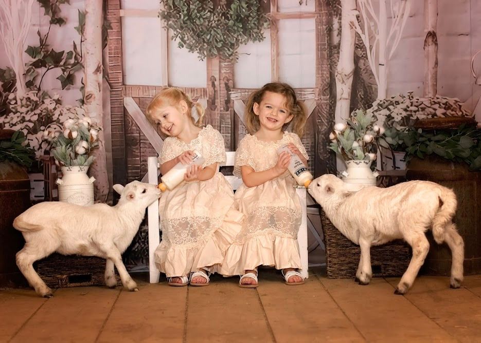 $5 Spring on the Farm with Baby Animals!