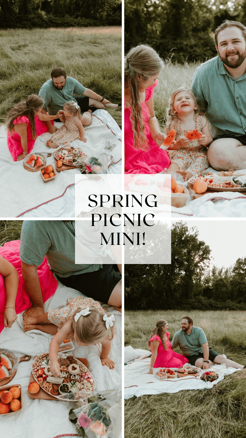 Spring Picnic Mini