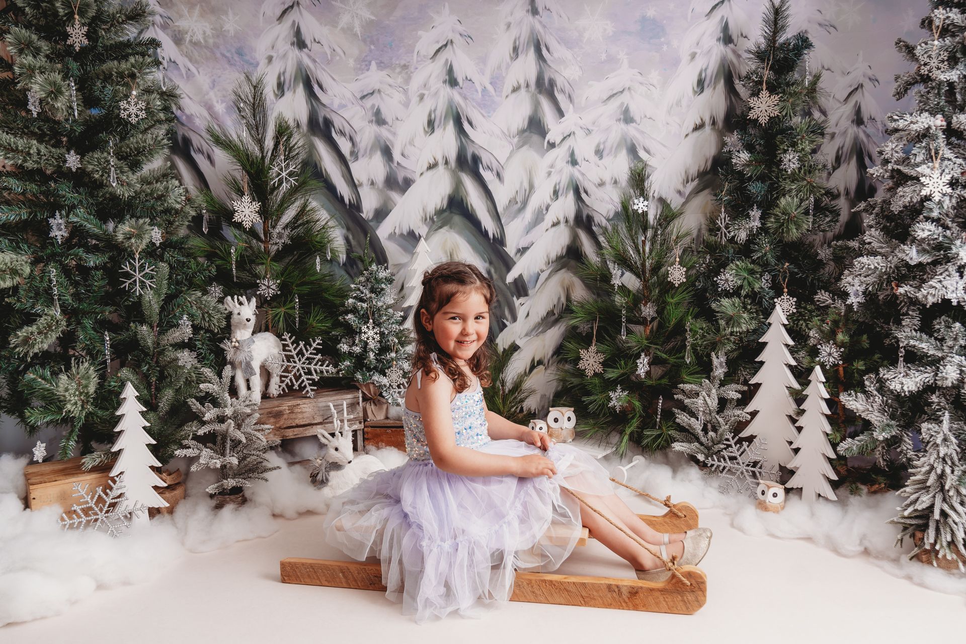 Christmas Mini Sessions 2024 - Winter Wonderland