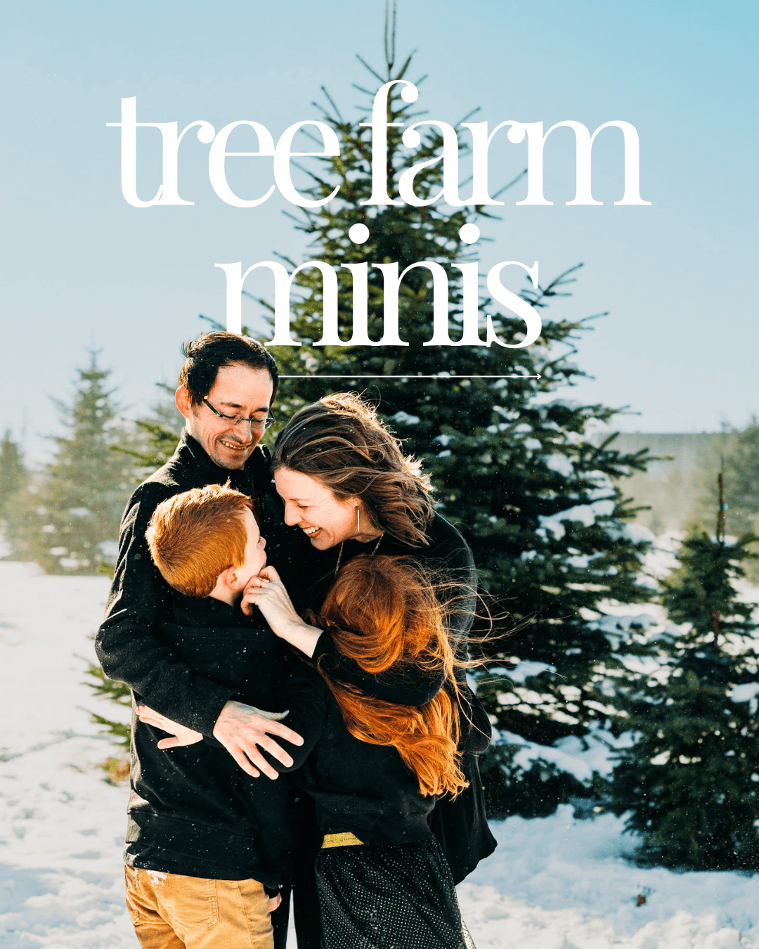 Tree Farm Mini Sessions
