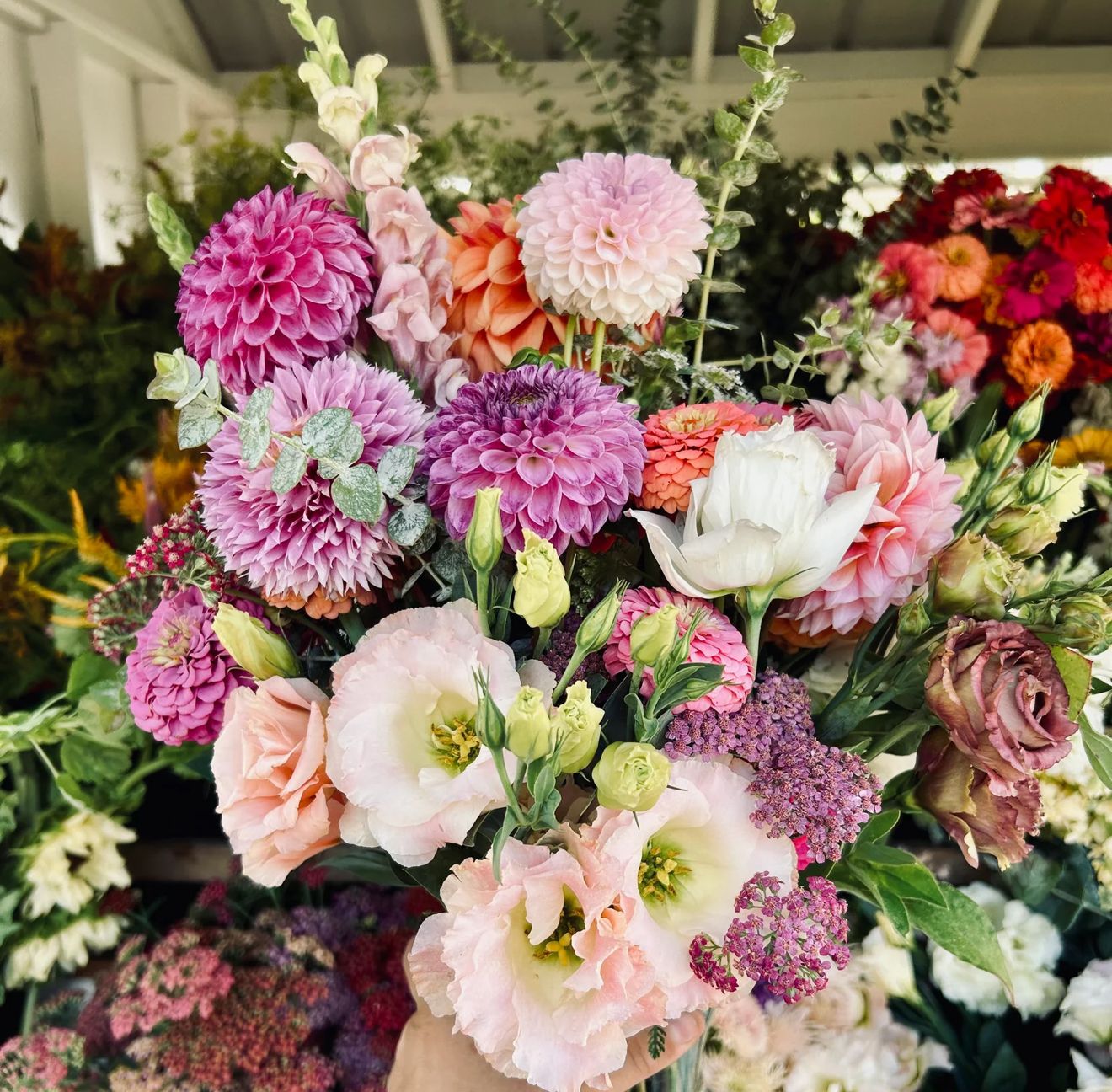 Flower Garden Fields Mini